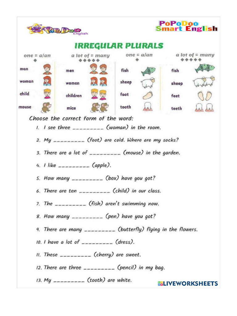 Irregular Plurals Worksheet - 7786205 | PDF