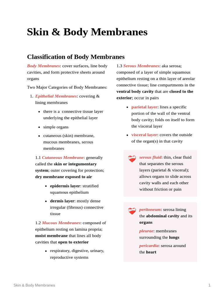 Chapter 4-Skin and Body Membranes | PDF | Skin | Epidermis