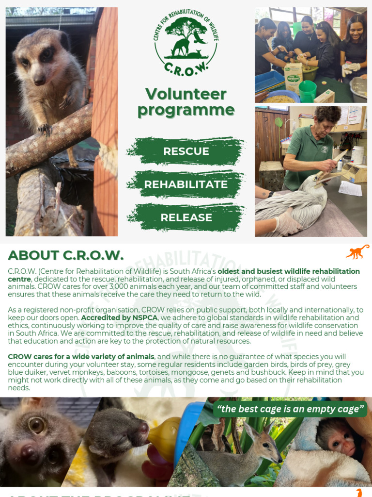 CROW Volunteer Brochure | PDF | Volunteering