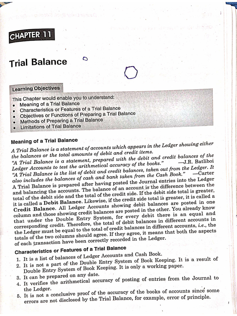 Trial Balance TSG | PDF