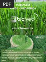 Forragem Hidropônica: Guia 2024 | PDF | Agricultura | Hidroponia