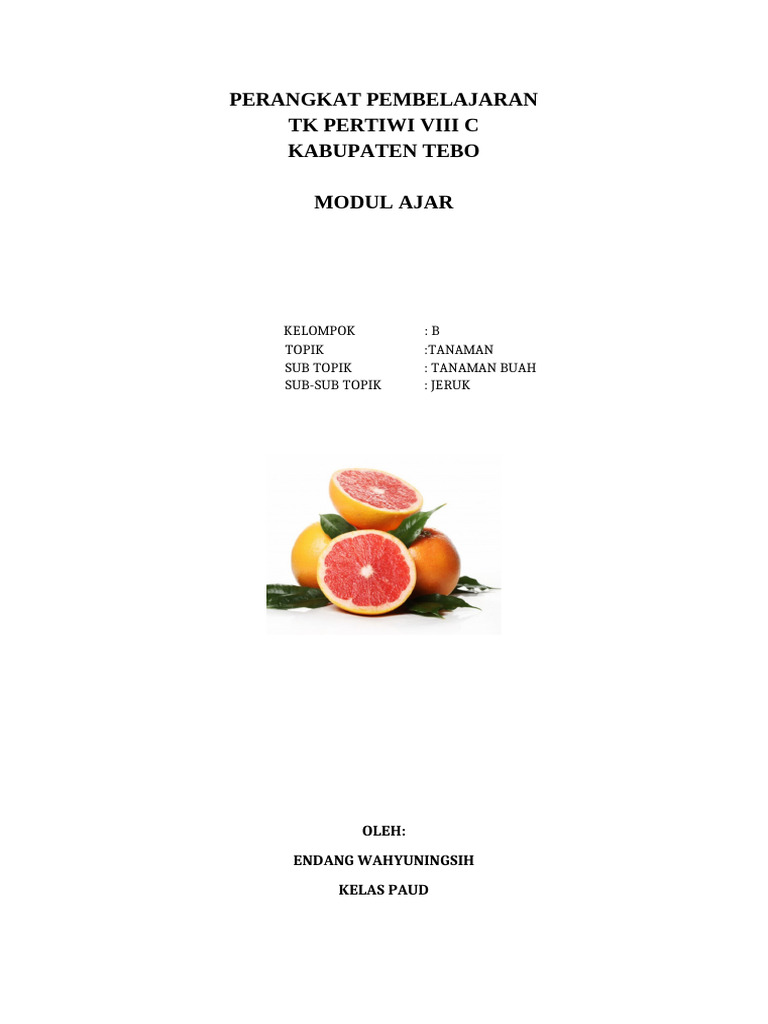 Modul Ajar Jeruk | PDF