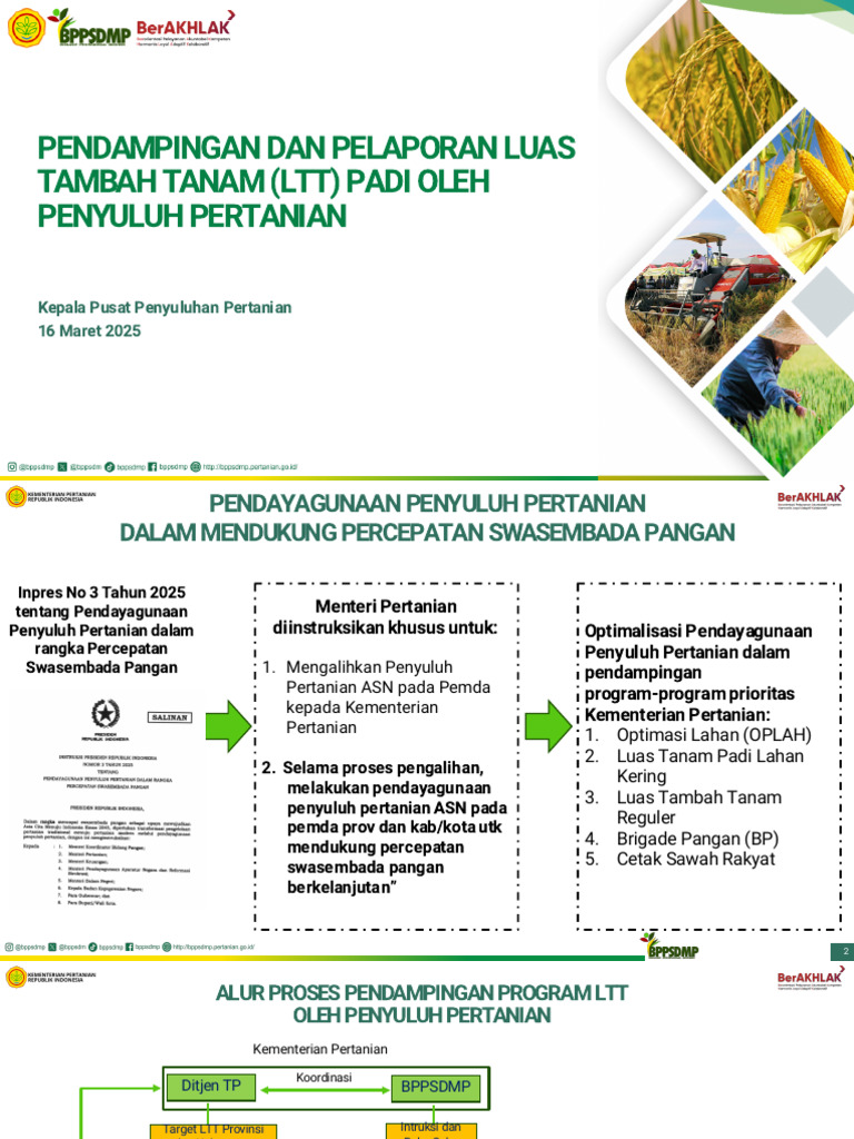 Pendampingan Dan Pelaporan LTT | PDF