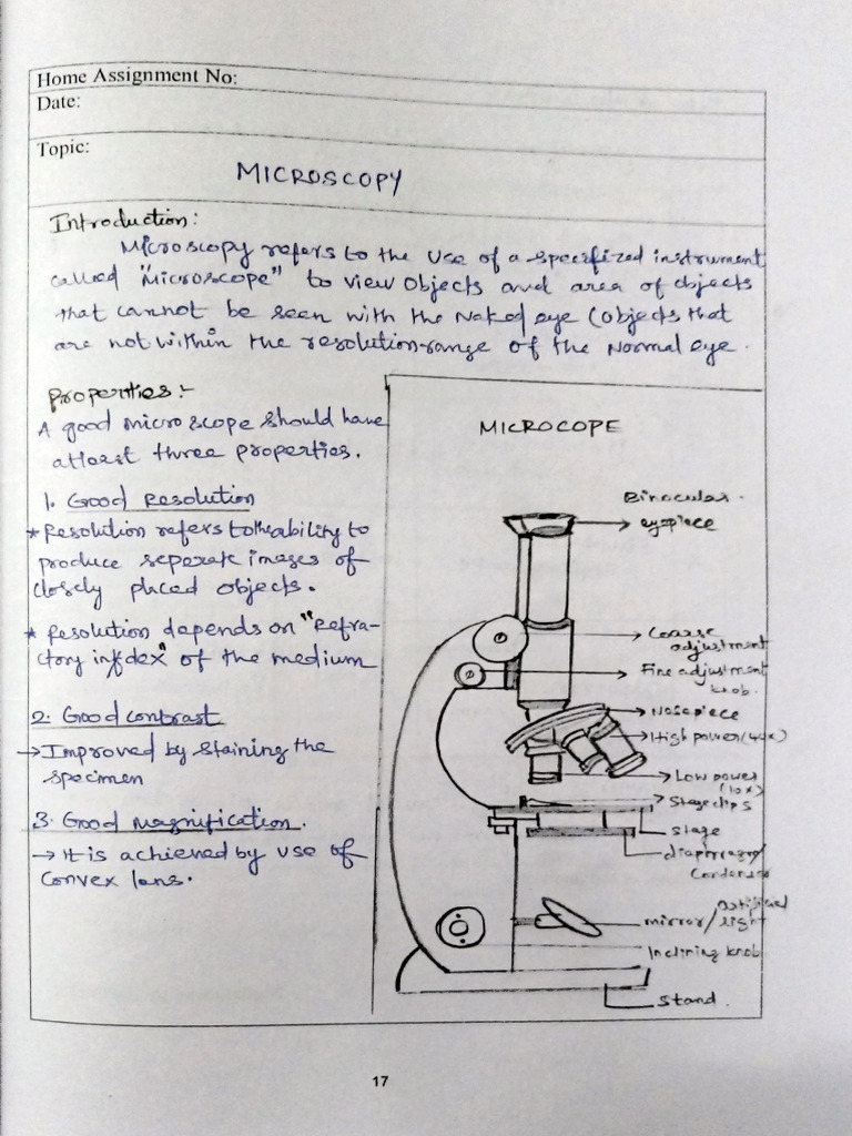 Micro Practical Record | PDF