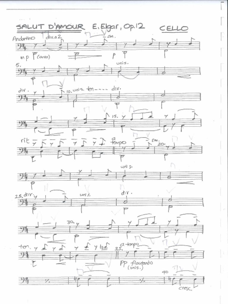 Salut D'amour - Cello 2 | PDF