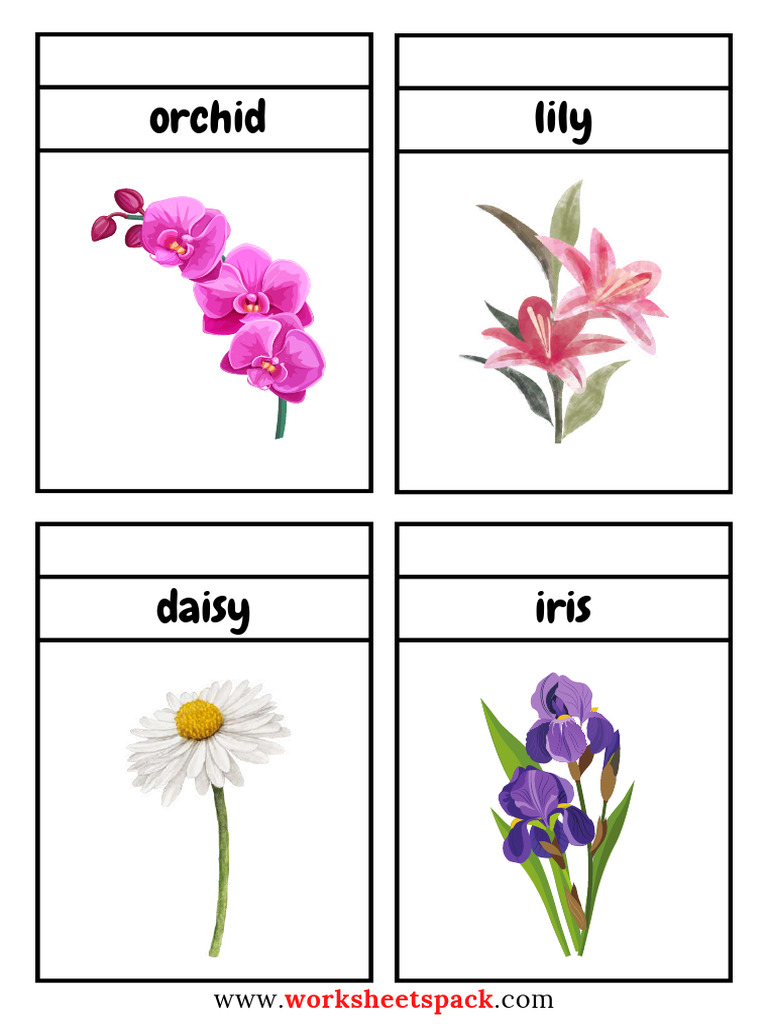 Free Printable Flowers Flashcards PDF - Compressed | PDF