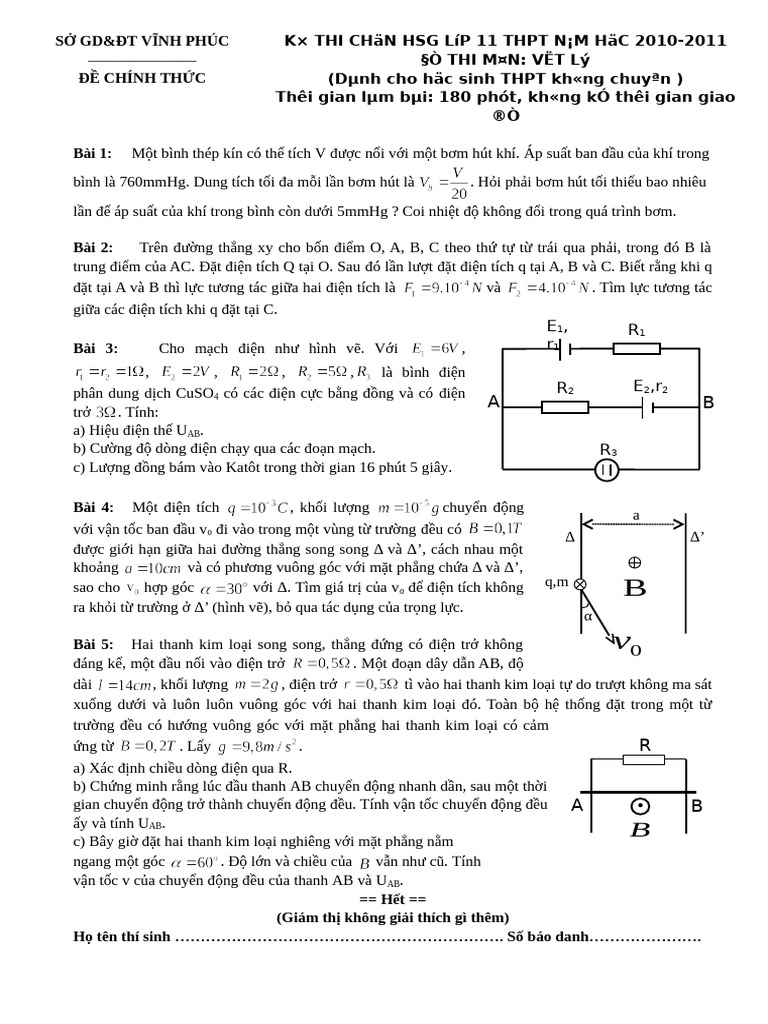 Đề 13- HSG chính thức 11 k chuyên 10-11 | PDF