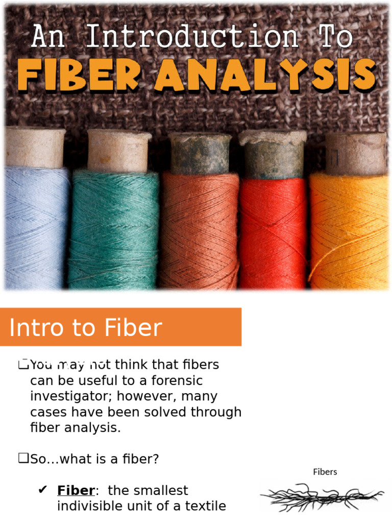 Introduction To Fibers Lesson (Upupdated) | PDF | Yarn | Weaving