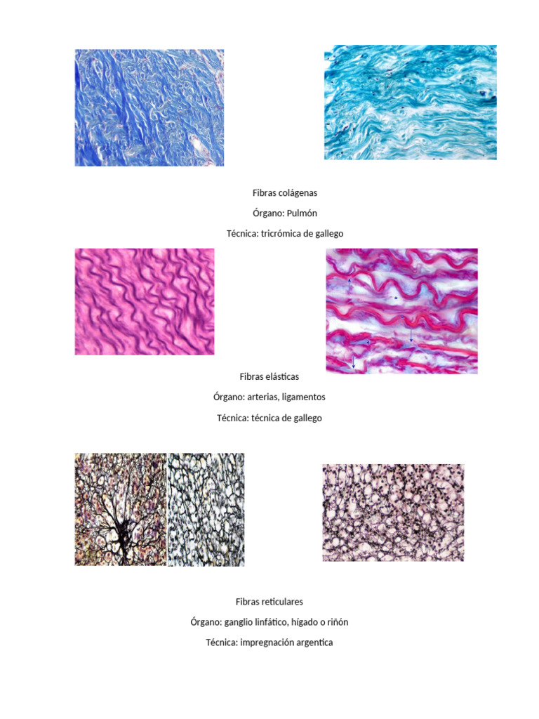 Atlas Historico 2parcial | PDF