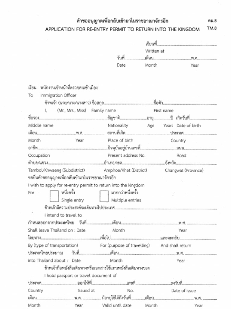 Re Entry Form TM.8 Form | PDF