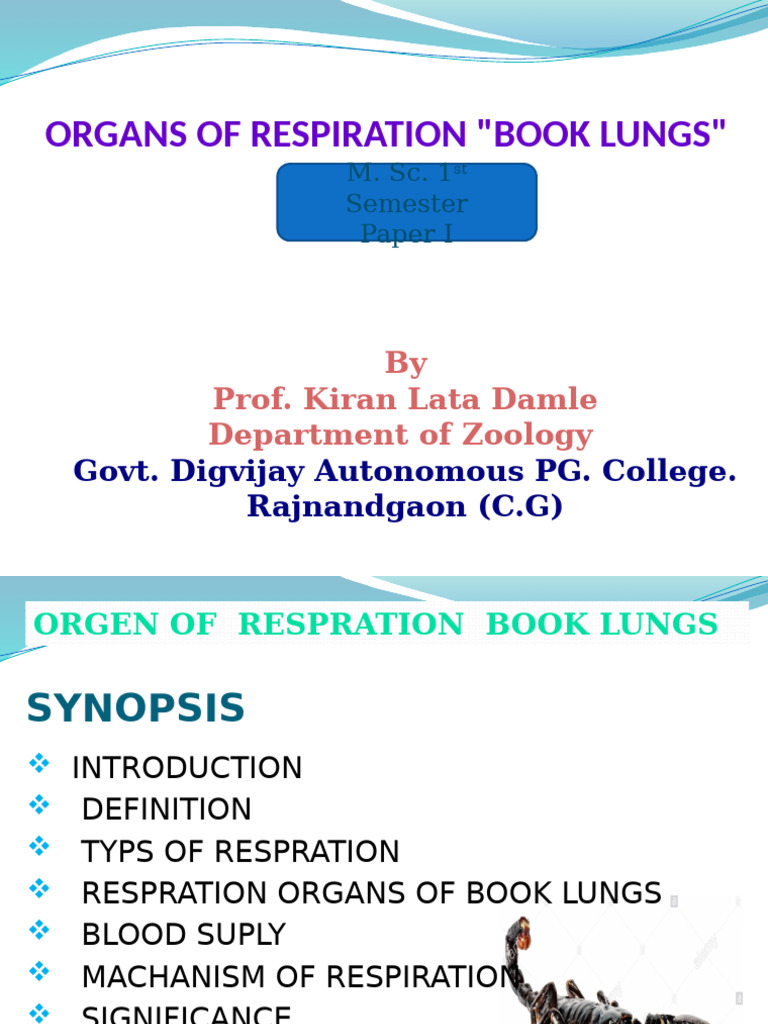 5. book lungs_converted_by_abcdpdf | PDF | Cellular Respiration | Lung
