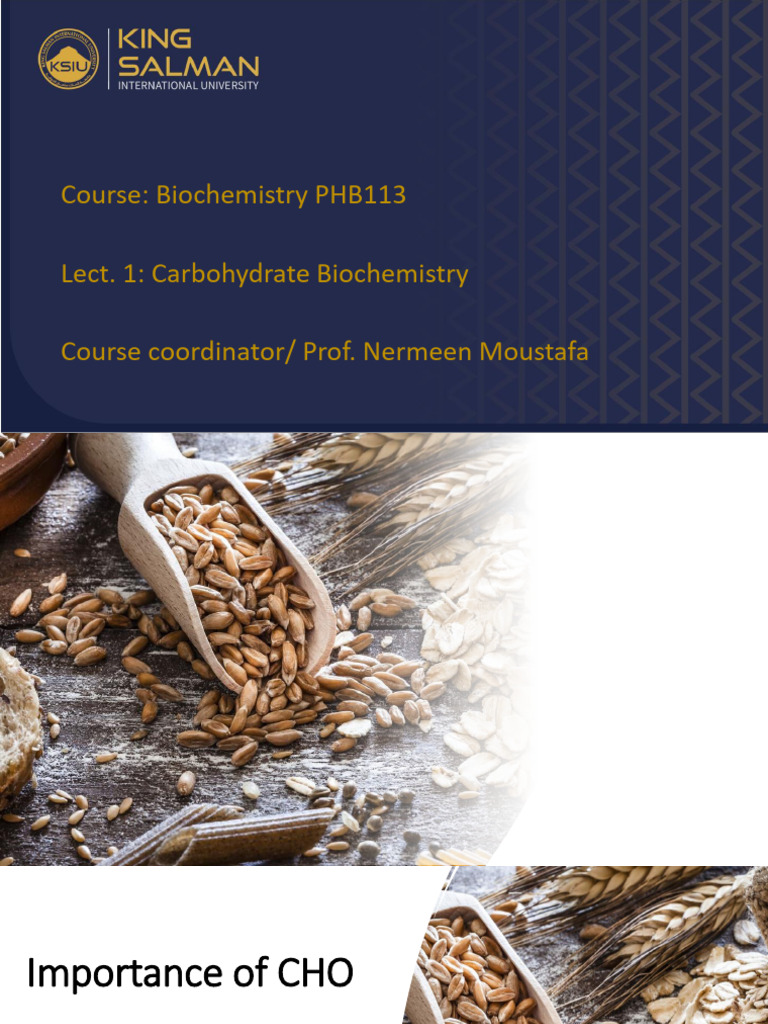 Lect 1 CHO Biochemistry 2024 (1) (1) | PDF | Carbohydrates | Organic ...