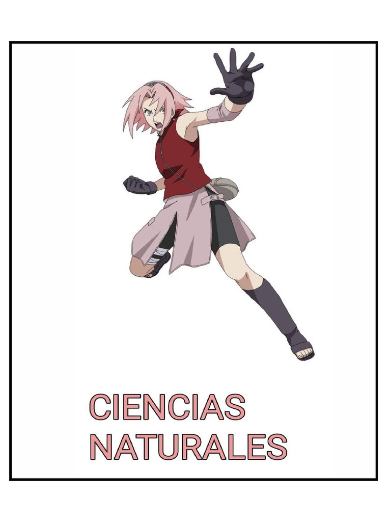 Asignaturas Naruto | PDF