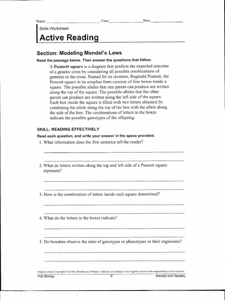 Active Reading Modeling Mendel's Laws | PDF