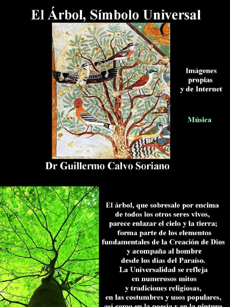 El Árbol Símbolo Universal - Imágenes - Dr. Guillermo Calvo Soriano | PDF