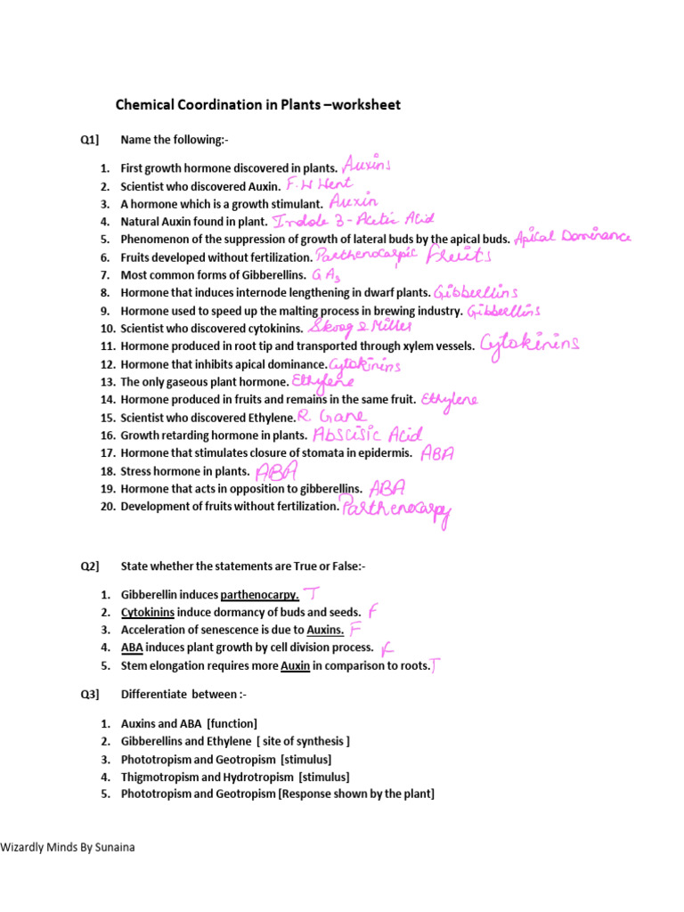 CHEMICAL COORDINATION IN PLANTS WORKSHEET-2 3 | PDF | Plant Hormone | Auxin