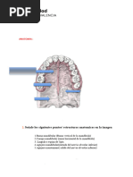 Índices CAOD en Salud Bucodental | PDF | Boca | Anatomia dental