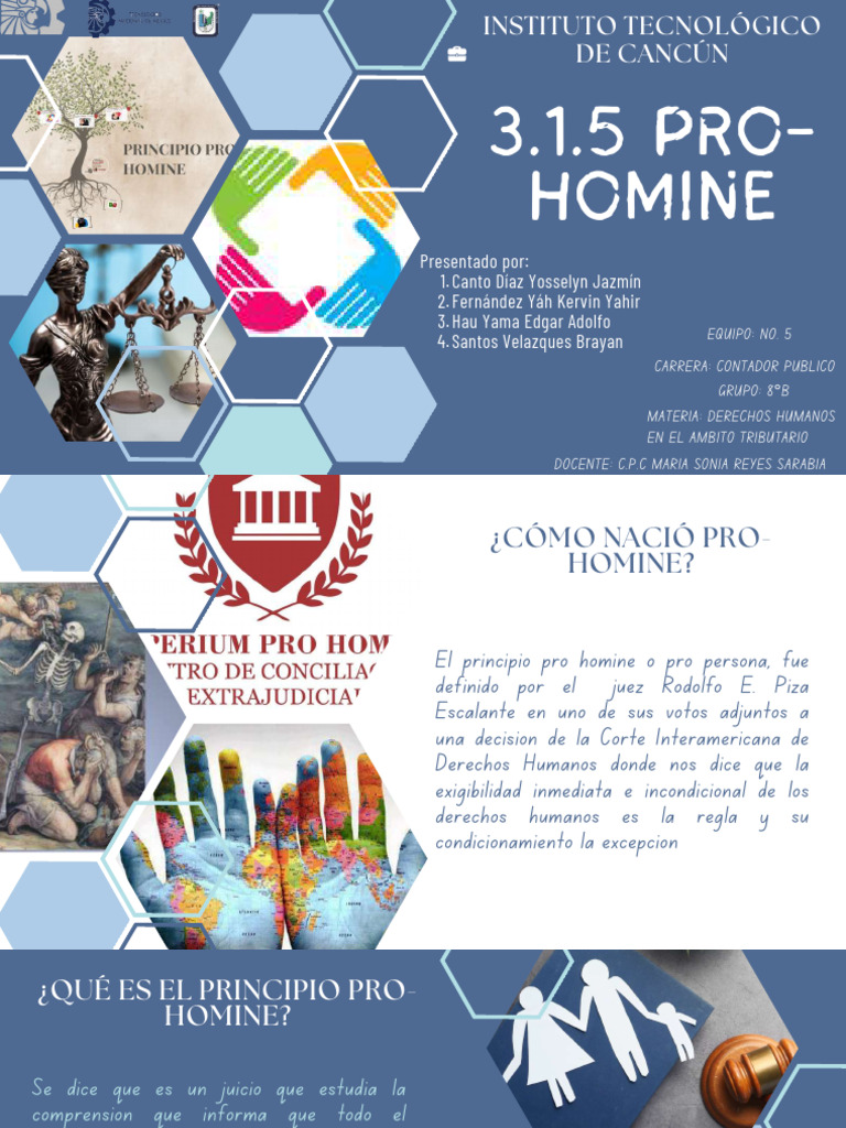 Principio Pro Homine en Derechos Humanos | PDF | Derechos humanos ...