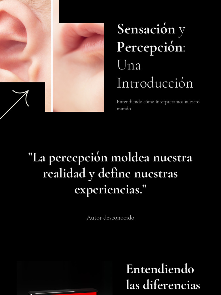 Sensación vs. Percepción: Claves y Diferencias | PDF | Sentidos ...