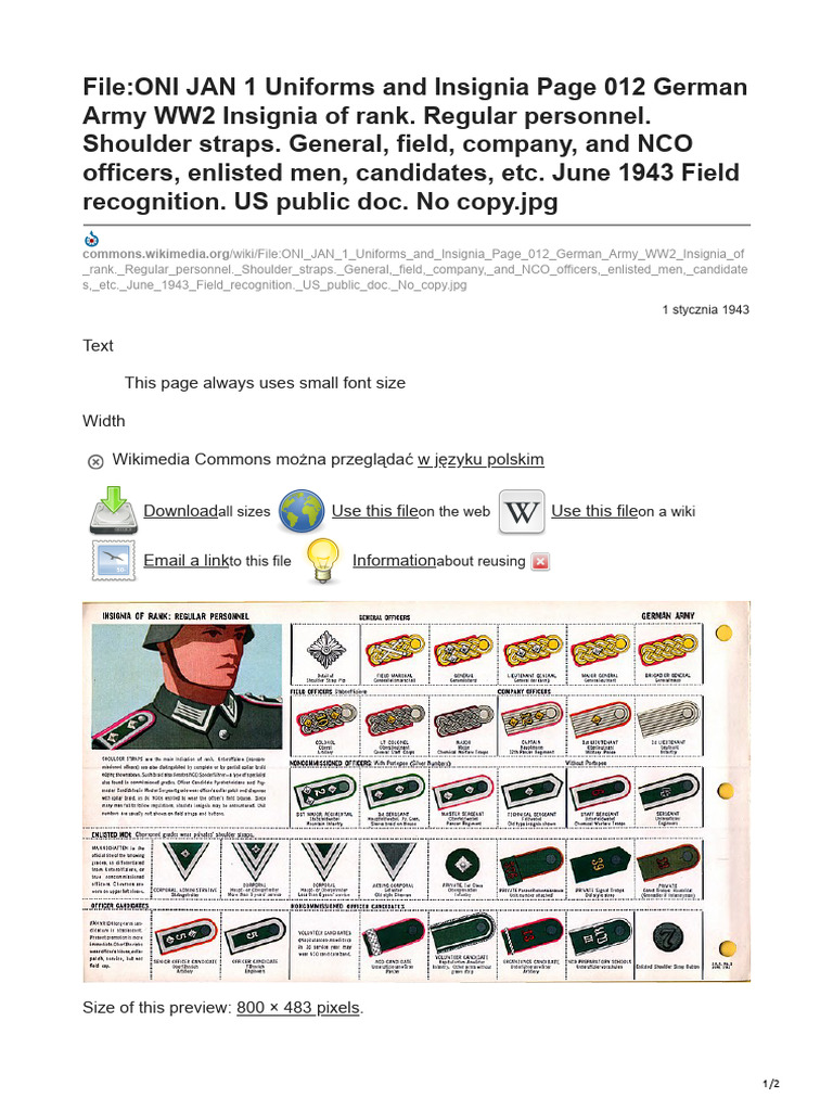 German Army WW2 Rank Insignia Guide | PDF