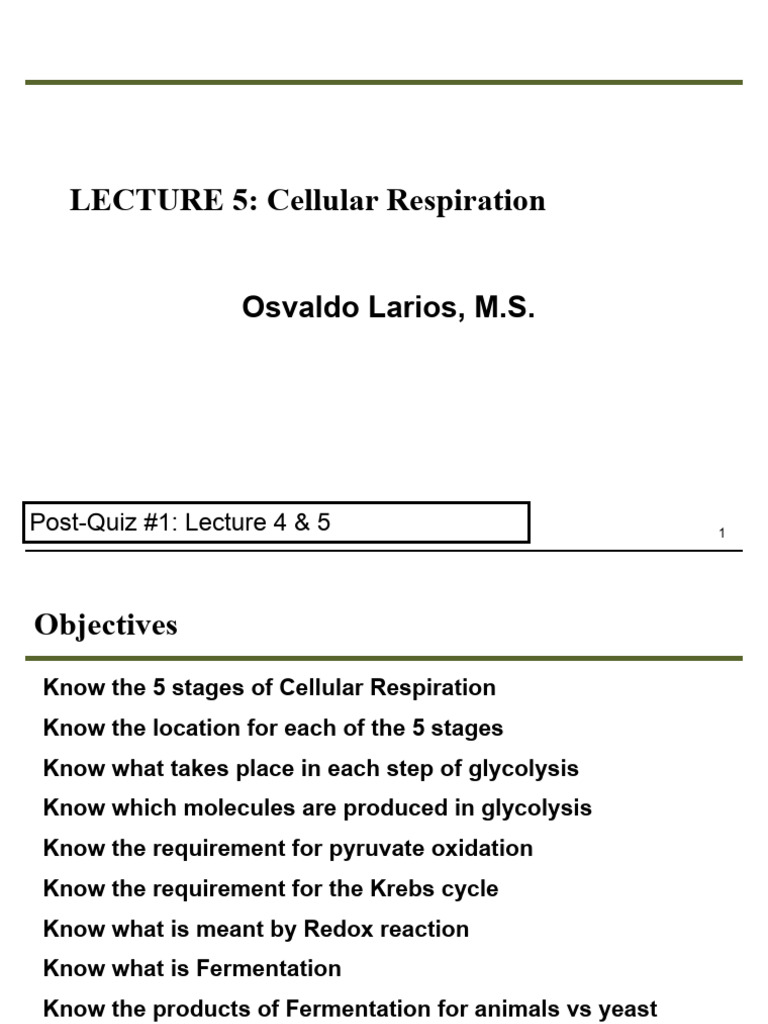 Lec 5 Cellular Respiration | PDF | Cellular Respiration | Glycolysis