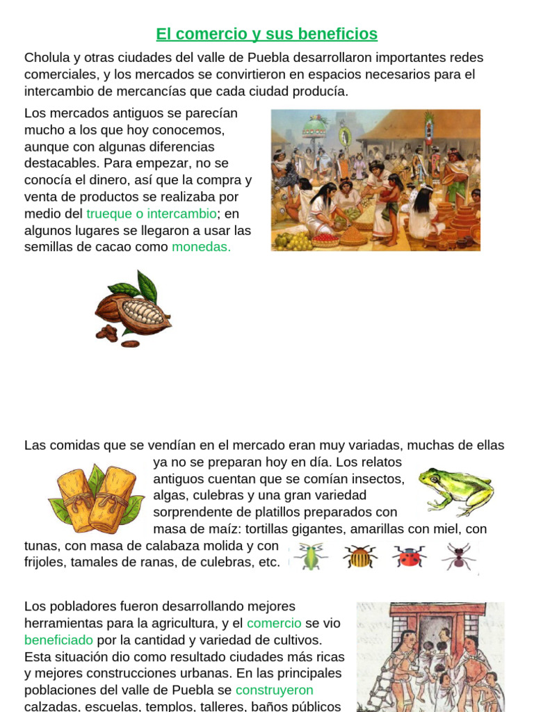 El Comercio y Sus Beneficios | PDF