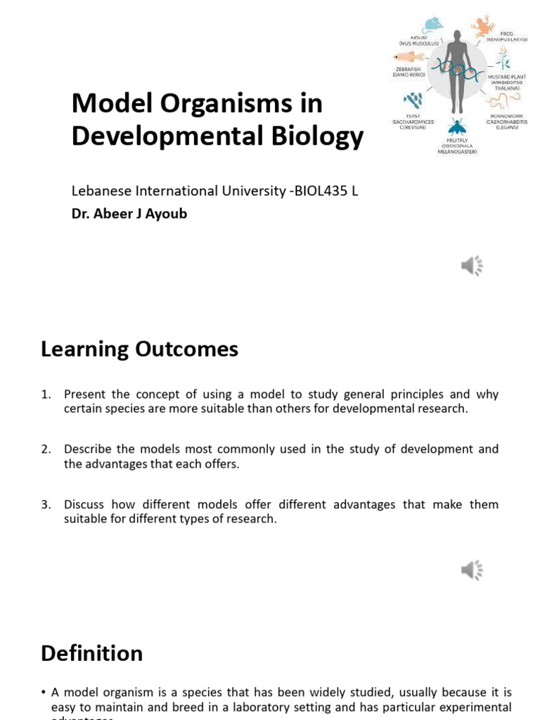 1- Model Organisms in Developmental Biology | PDF | Model Organism | Developmental Biology