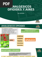 Tolestan: Uso y Dosis en Migraña | PDF | Droga anti-inflamatoria libre ...