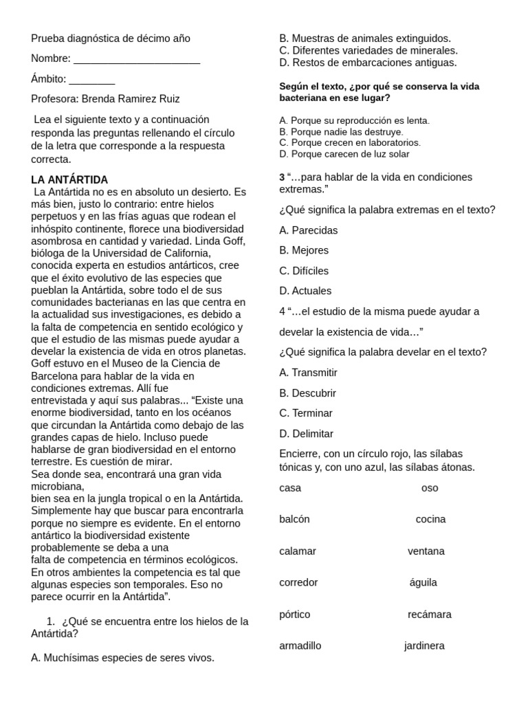 Prueba Diagnóstica de Décimo Año | PDF | Antártida | Biología