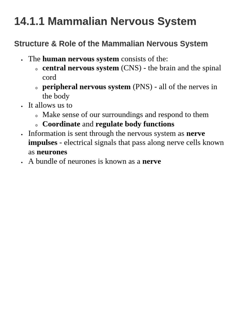 12 Coordination & Response | PDF | Synapse | Neuron