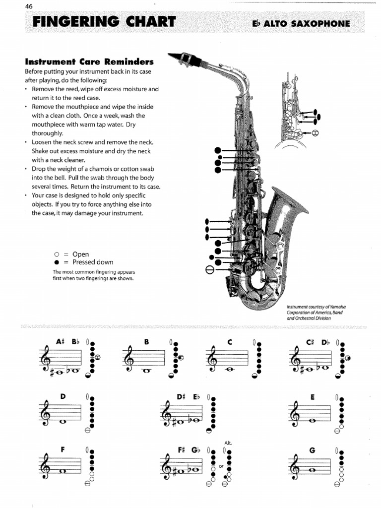 NOTAS DE SAX Tenor | PDF