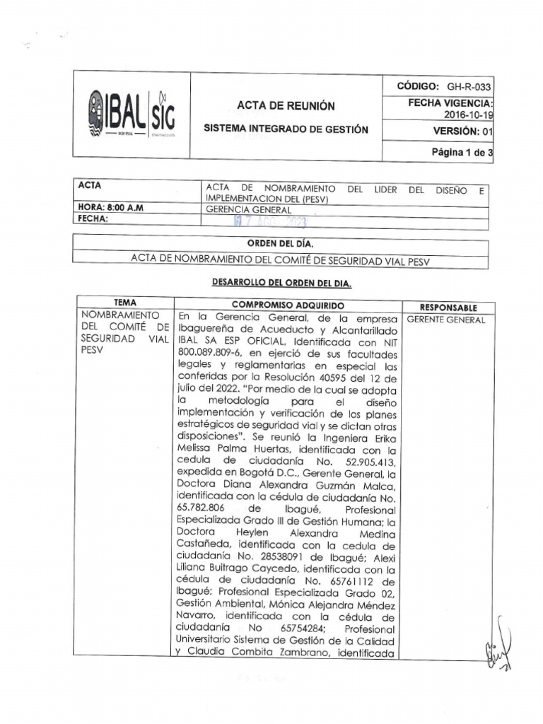 Acta de Reunion Pesv | PDF