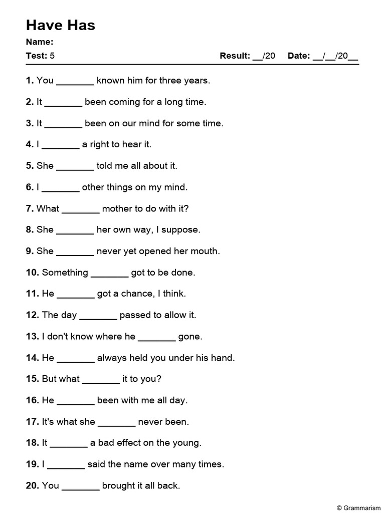 Have Has Test Exercises | PDF