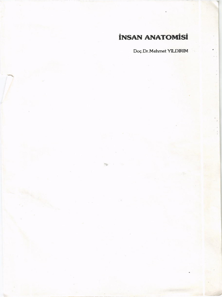 Anatomi Mehmet Yıldırım | PDF