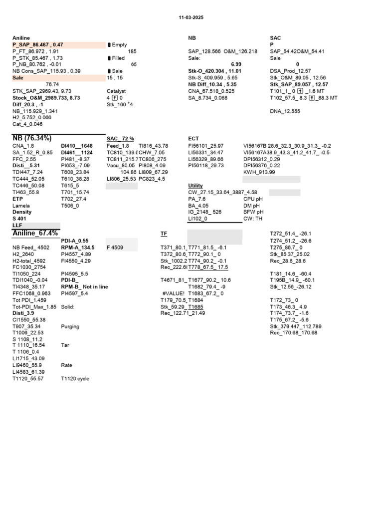 Daily Print Format 01 | PDF