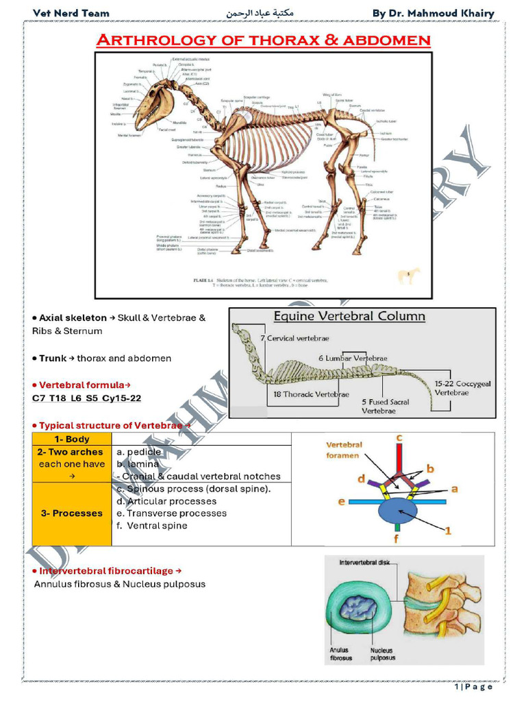 Lec 1 Anatomy (Arthrology & Cardio) | PDF