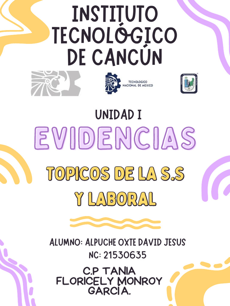 Mapa - David Alpuche | PDF | Derecho laboral | Politica social