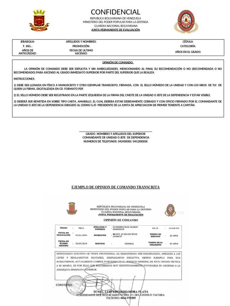 Formato de Opinion de Comando 2025 | PDF