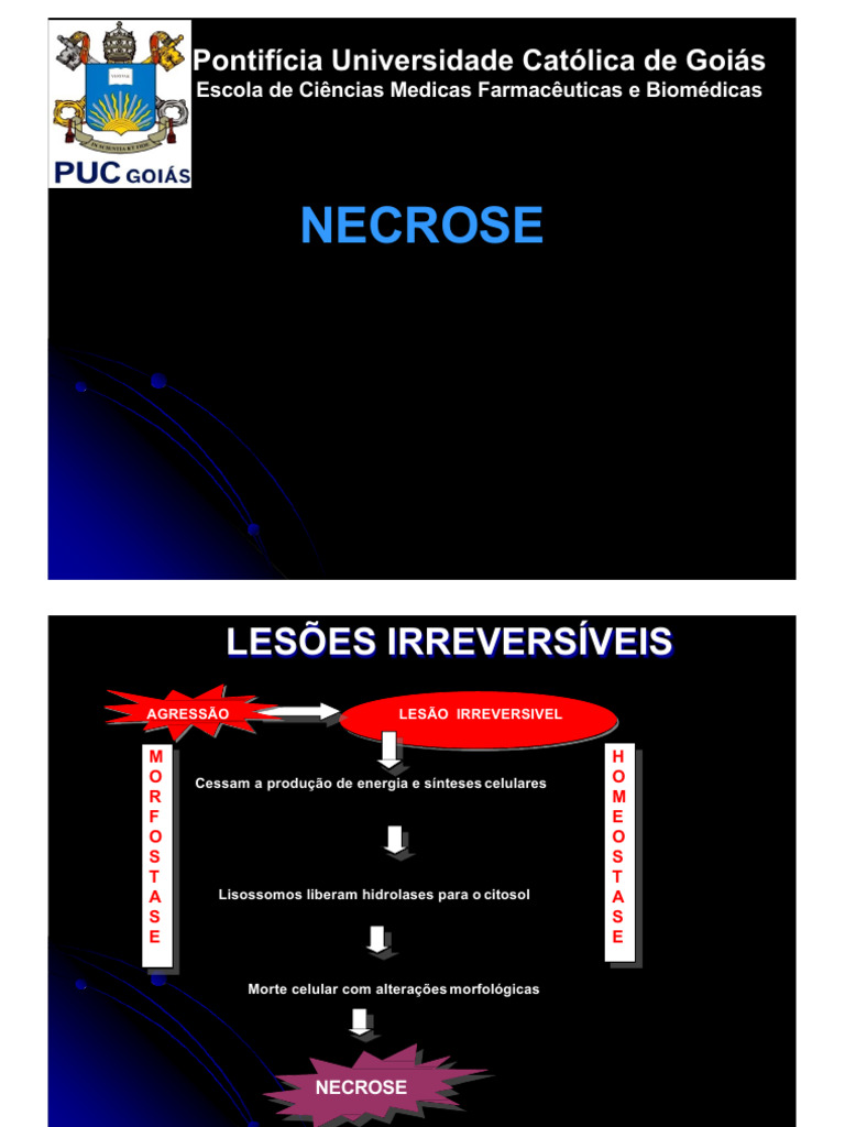 Parte 2 Degenerações - Necroses | PDF | Necrose | Especialidades médicas