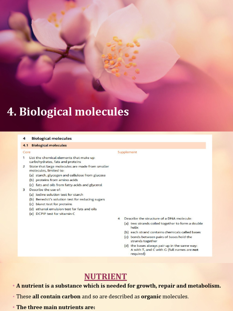Overview of Biological Molecules and Nutrients | PDF | Carbohydrates ...