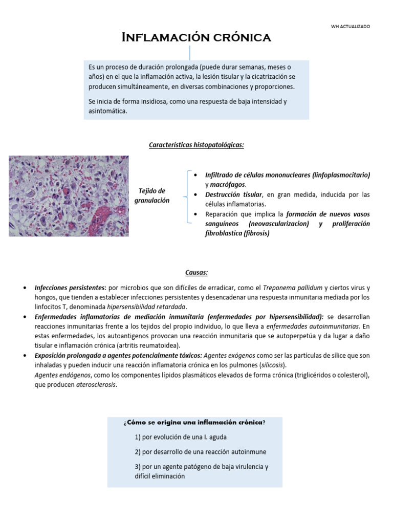 Inflamación Crónica: Causas y Características | PDF | Inflamación ...
