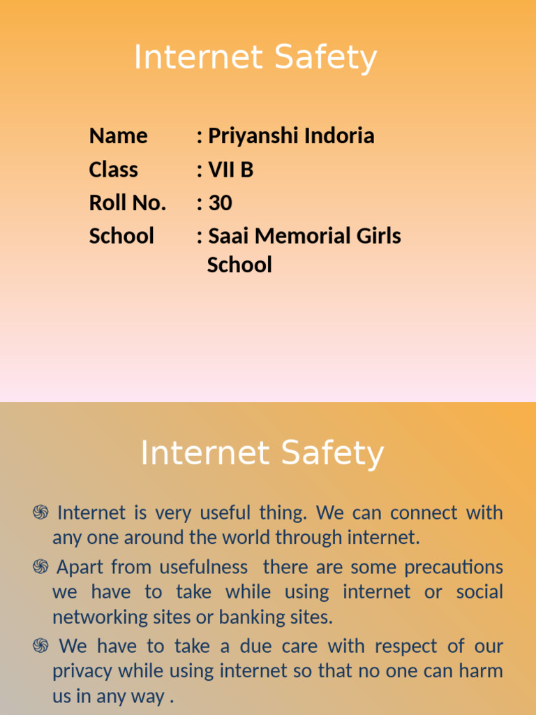 Internet Safety | PDF