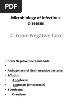 Gram Negative Cocci Flow Chart | PDF | Gram Negative Bacteria | Prokaryote