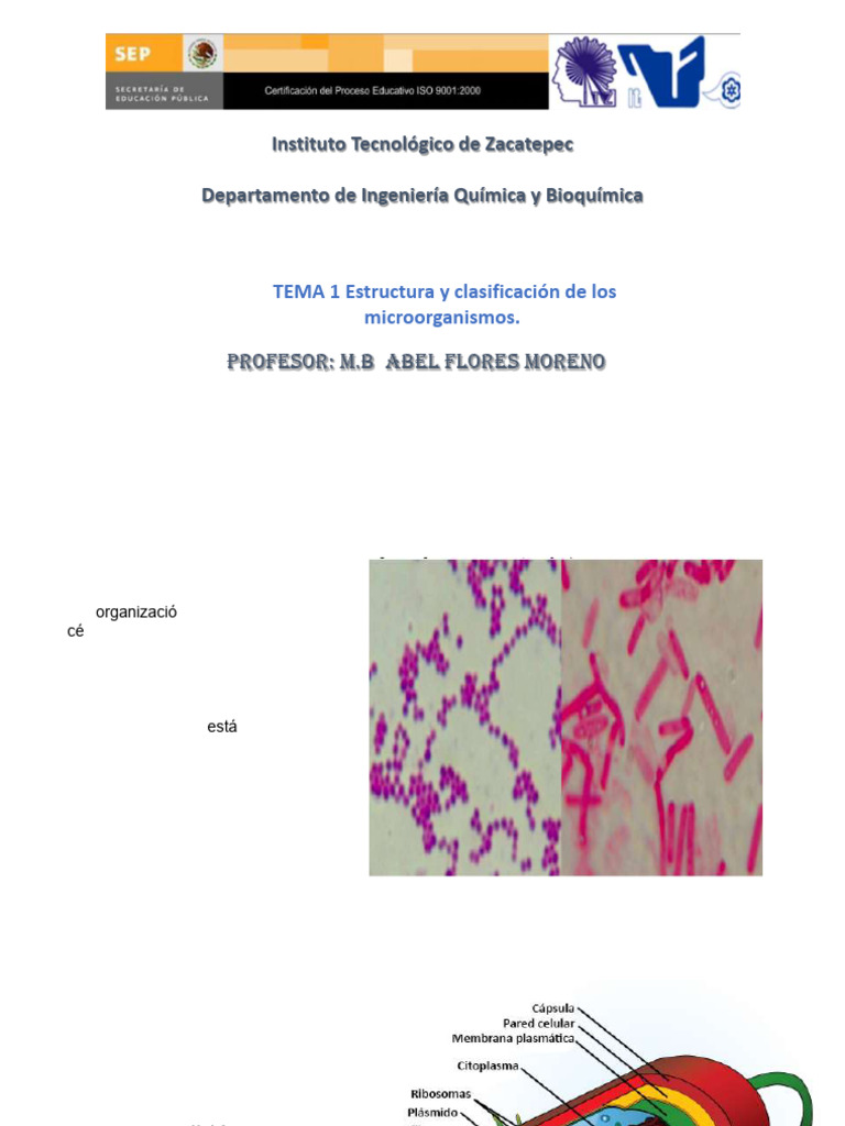 Micro Tema 1 | PDF | Las bacterias | Microorganismo
