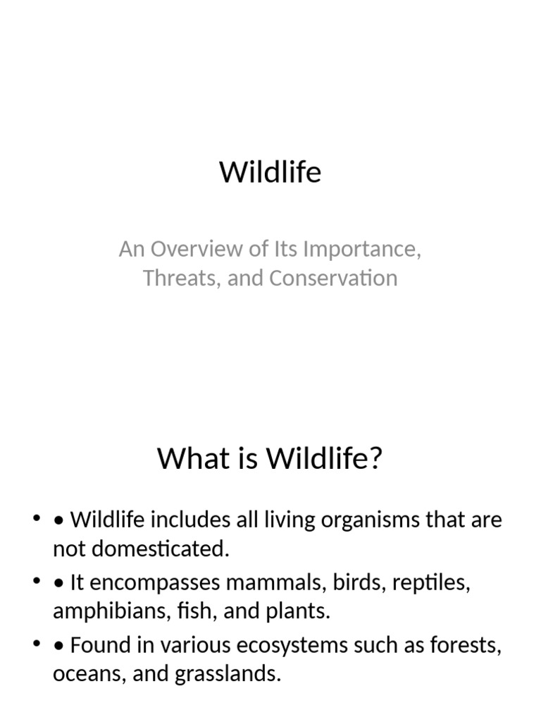 Wildlife Presentation | PDF