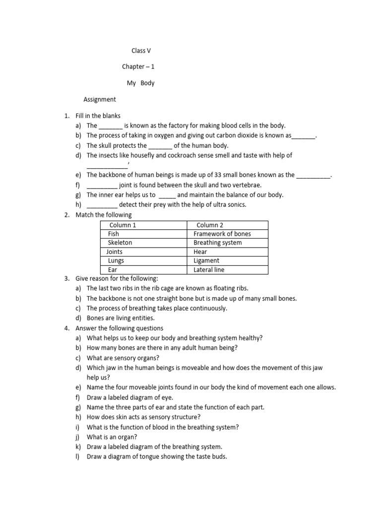 Microsoft Word - Assignment Class 5 | PDF | Seed | Plants
