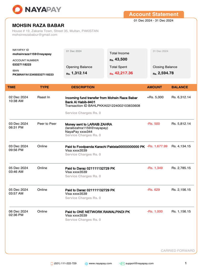 December 2024 Account Statement Summary | PDF | Fee | Visa Inc.
