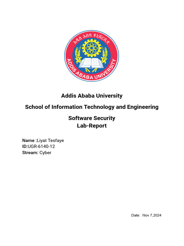 Buffer Overflow Lab Report | PDF | Software Engineering | Computer Architecture