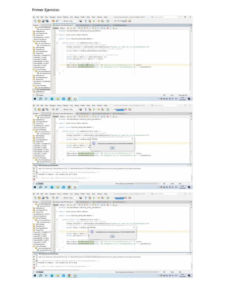 Ejercicio JAVA PDF | PDF