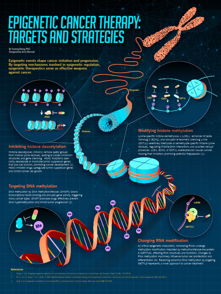 CANCER, Epigenetics and Cancer Poster-1 | PDF | Epigenetics | Histone
